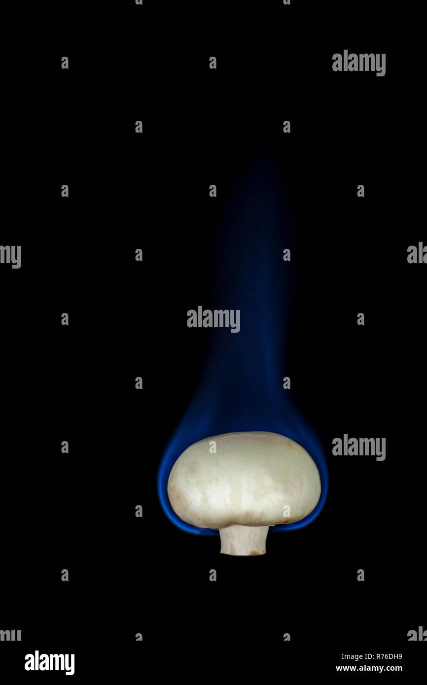 Mushroom on fire with blue flames isolated on black background Stock ...