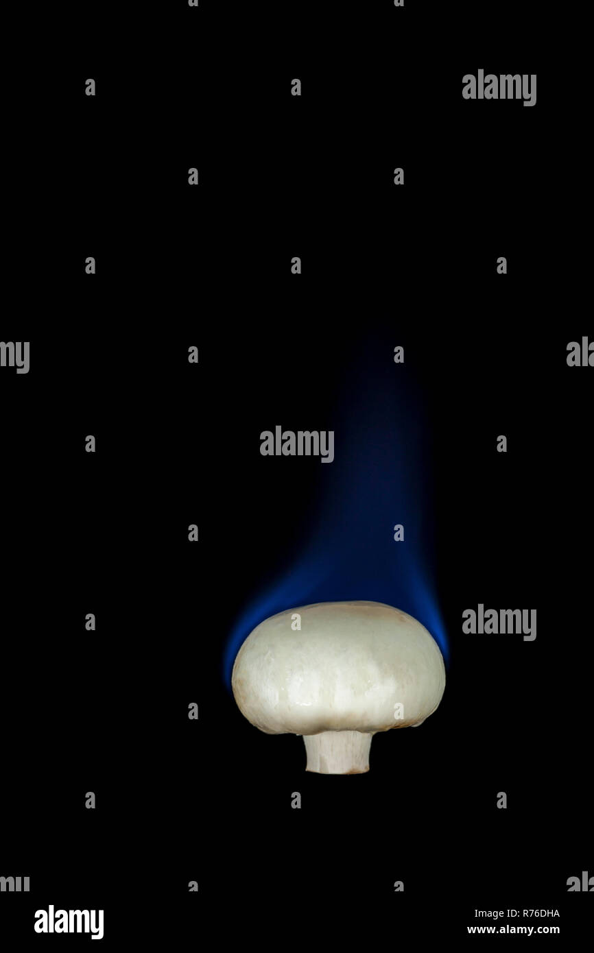 Mushroom on fire with blue flames isolated on black background Stock ...