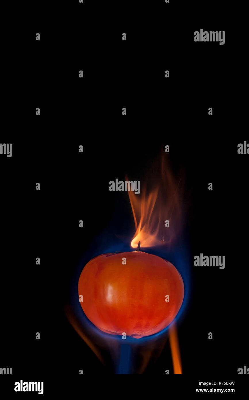 Tomato on fire with blue flames isolated on black background Stock ...