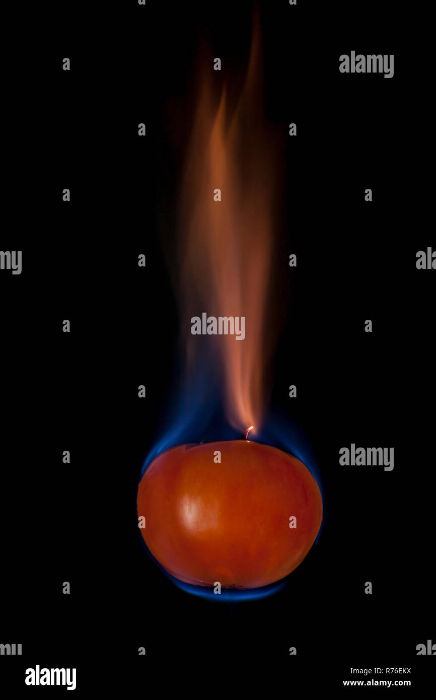 Tomato on fire with blue flames isolated on black background Stock ...