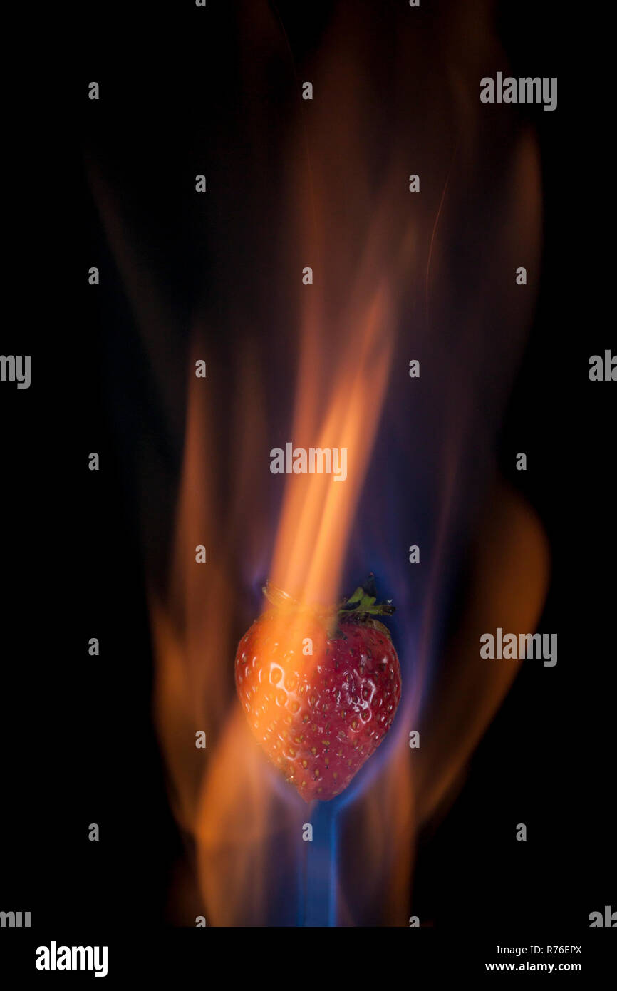 Strawberry on fire with blue flames isolated on black background Stock ...