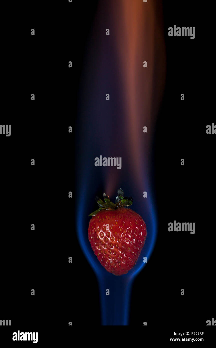Strawberry on fire with blue flames isolated on black background Stock ...