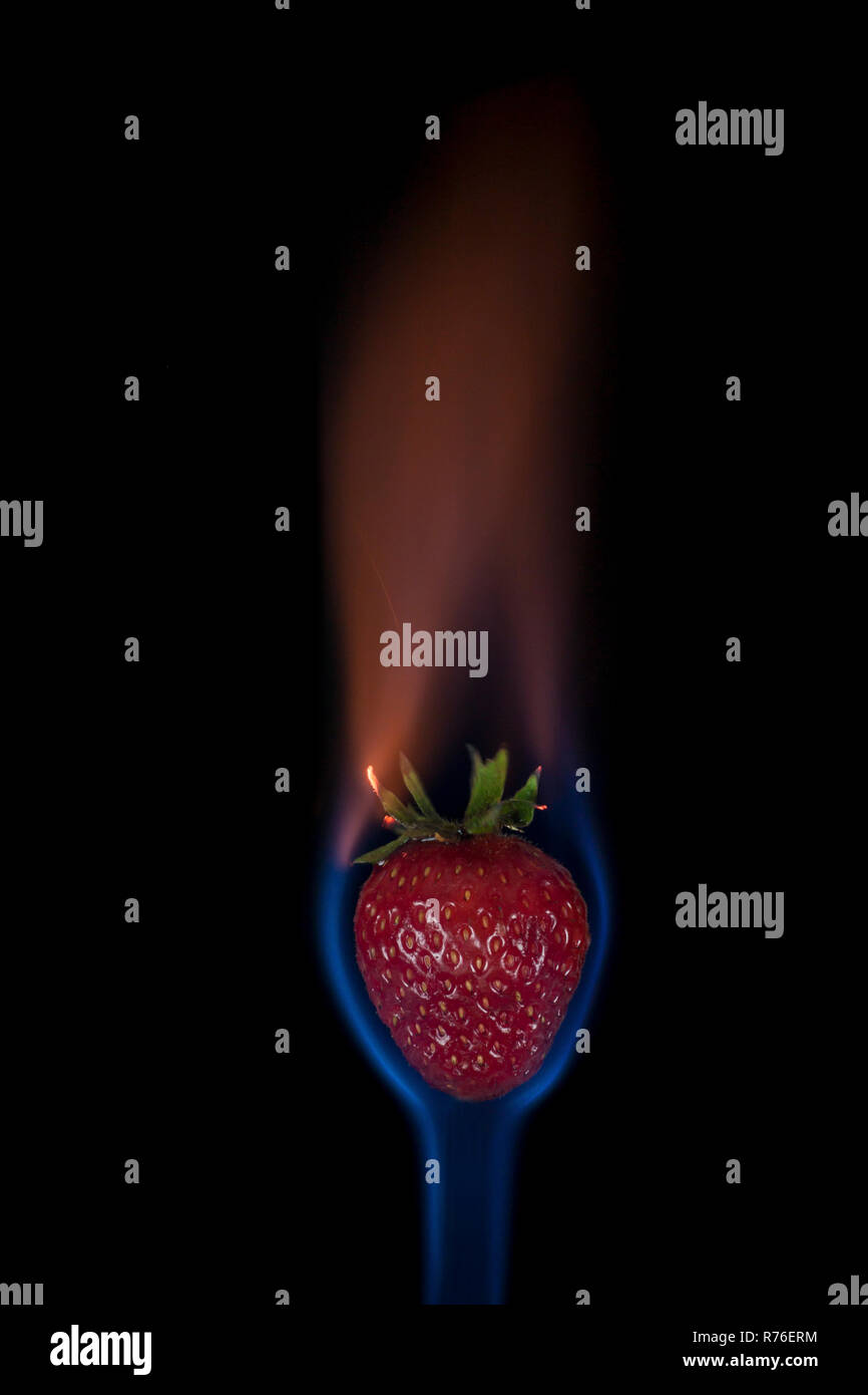 Strawberry on fire with blue flames isolated on black background Stock ...