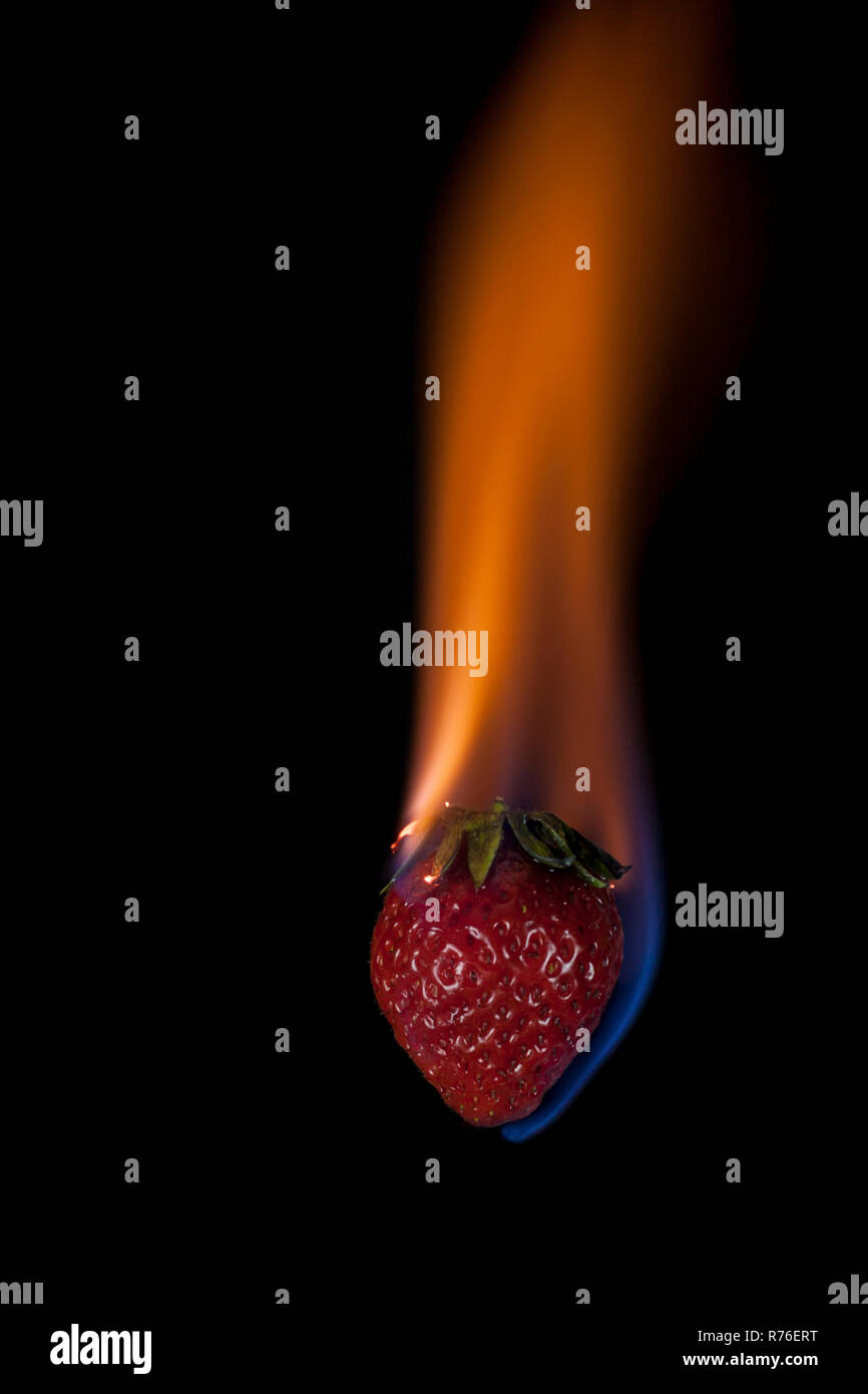 Strawberry on fire with blue flames isolated on black background Stock ...
