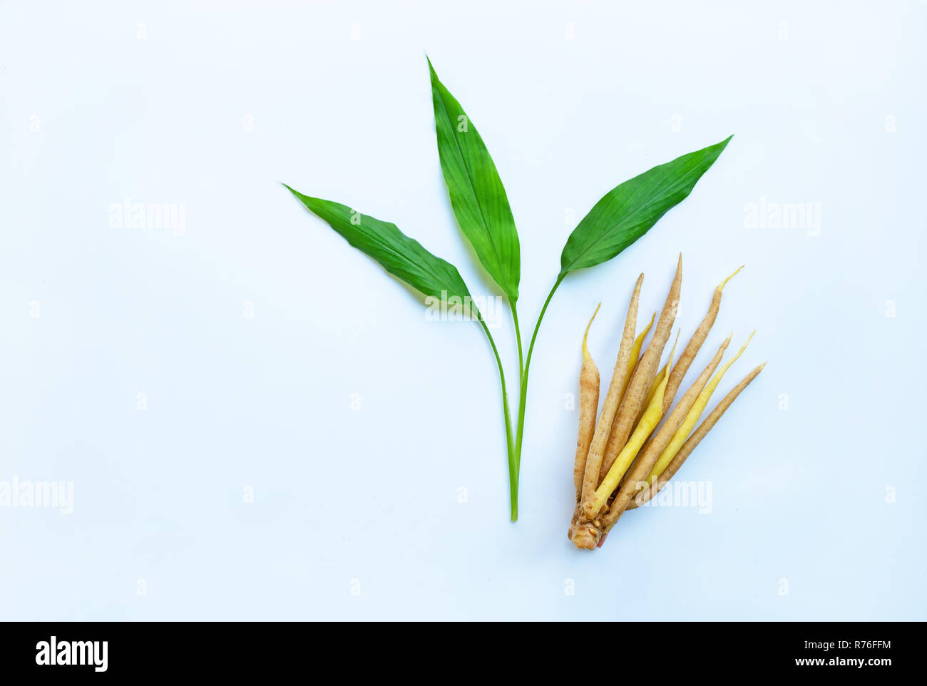 Fingerroot hi-res stock photography and images - Alamy