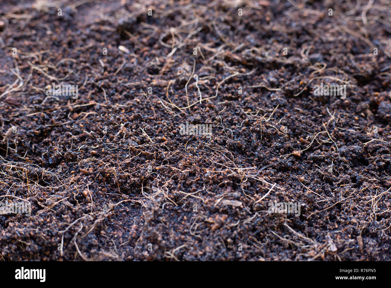 Soil with coconut shell's hair for plants Stock Photo - Alamy