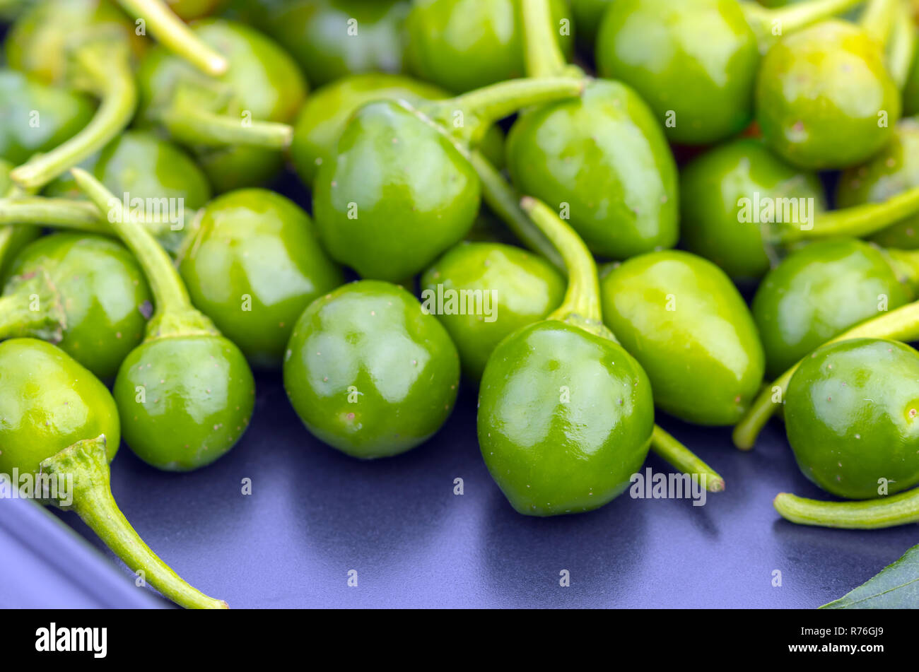 Green Cherry peppers. scinentific name is (Capsicum frutescens. Linn ...