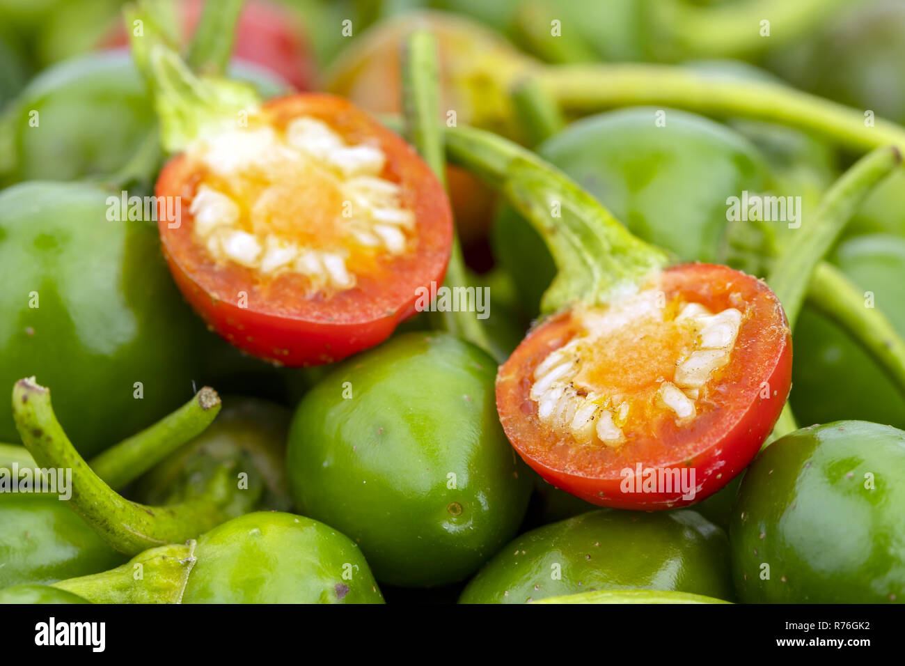 Cherry peppers with half-cut red with green. scinentific name is ...