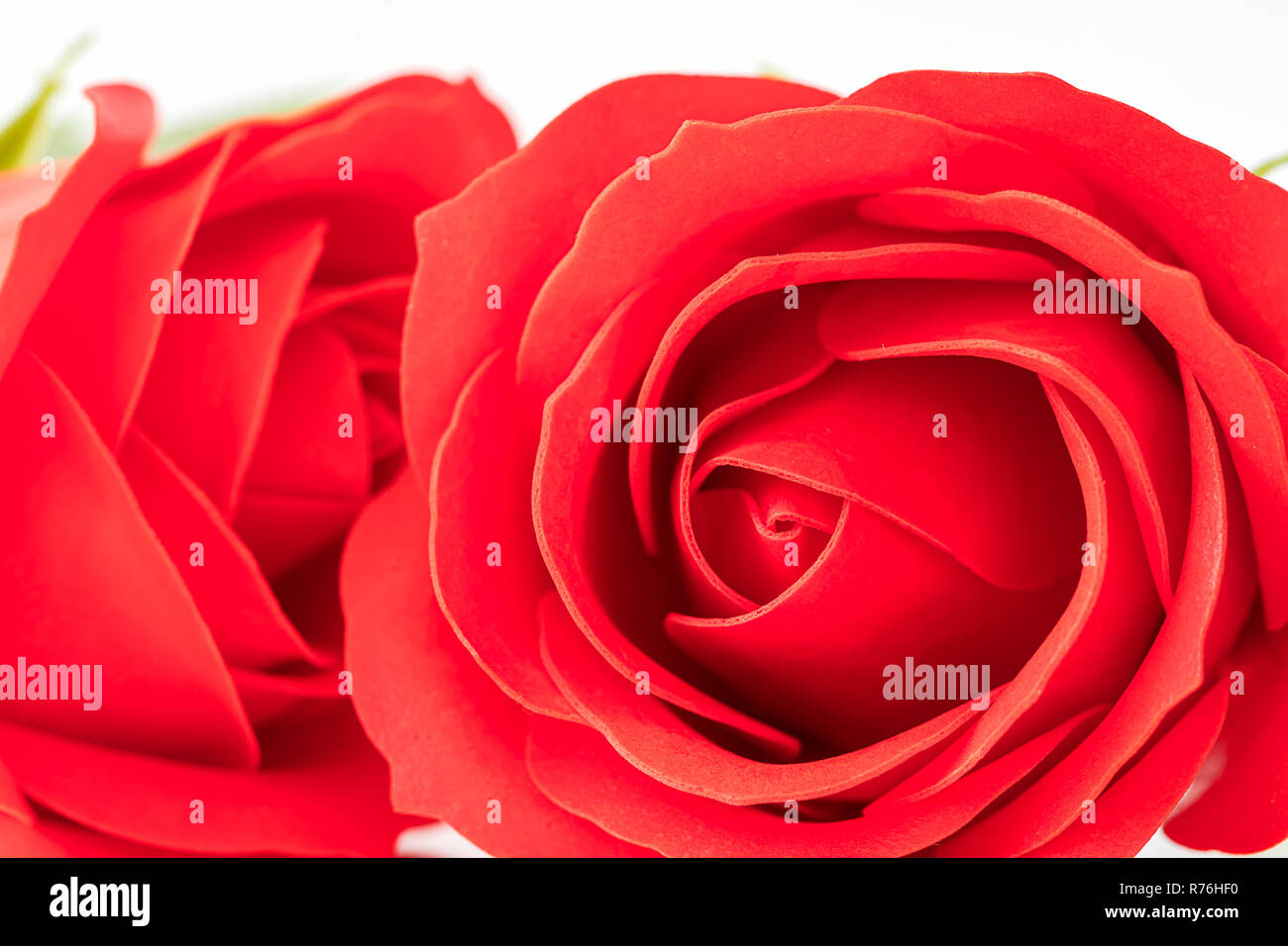 Red plastic fake roses on white Stock Photo - Alamy
