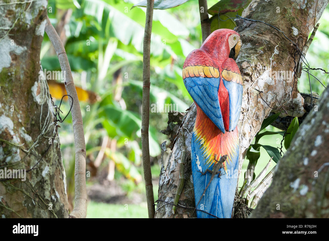 wood parrot statue Stock Photo - Alamy