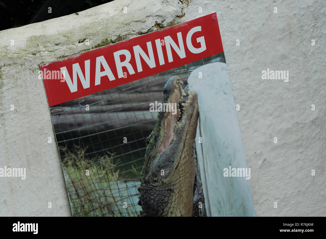 Croc injury hi-res stock photography and images - Alamy