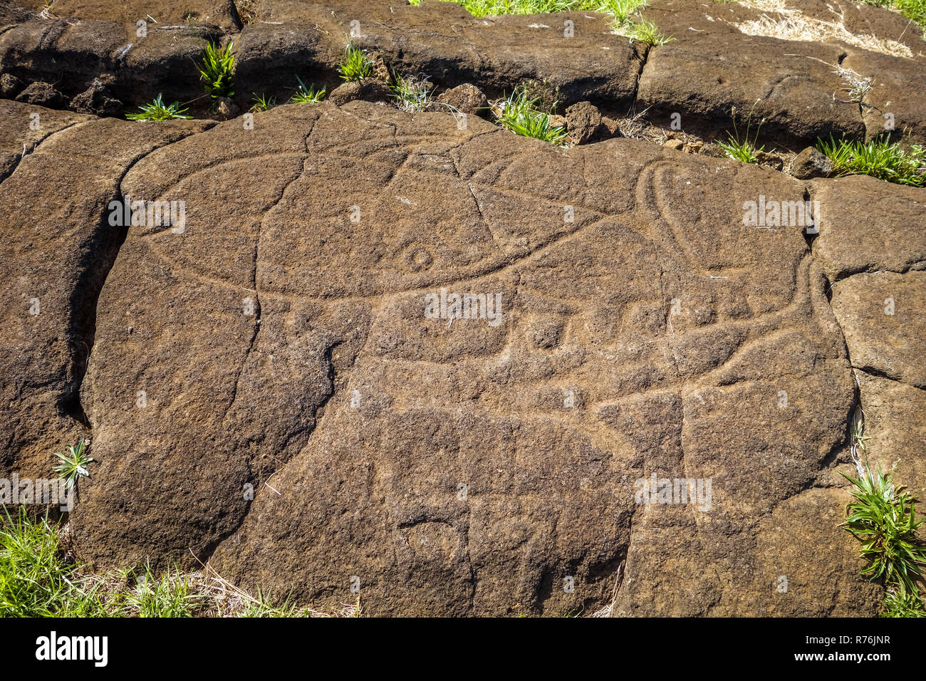 Petroglyphs on rocks, easter island Stock Photo - Alamy