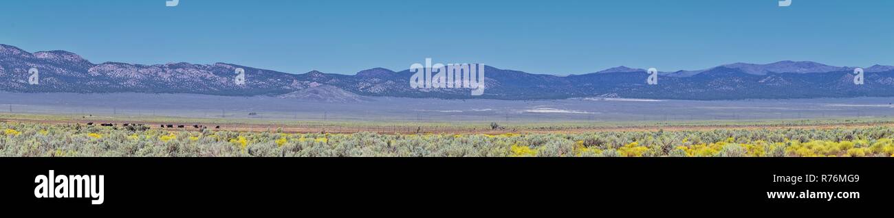 Manderfield hi-res stock photography and images - Alamy