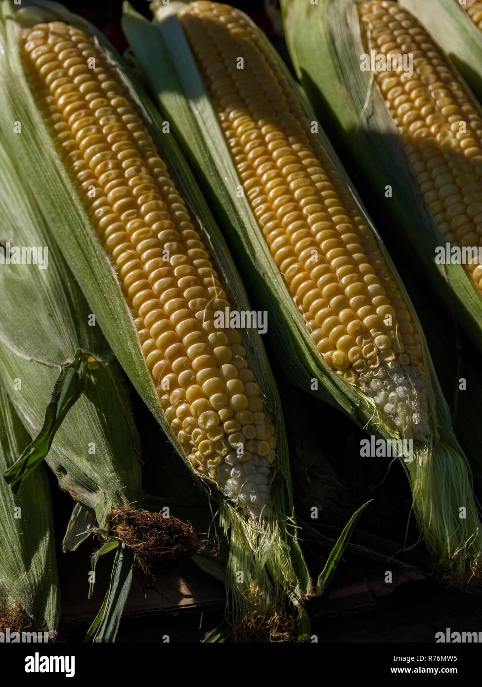 Kalenic market belgrade hi-res stock photography and images - Alamy