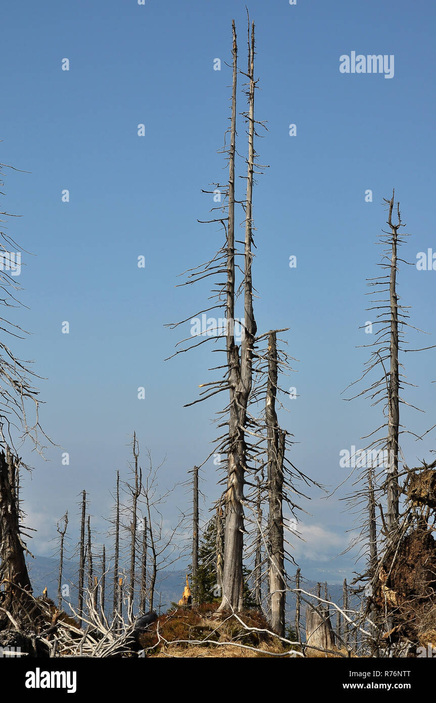 Ips symbol hi-res stock photography and images - Alamy