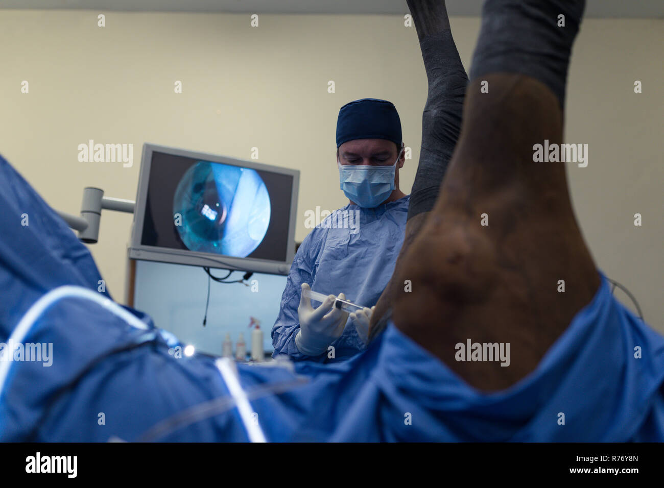 Female surgeon examining a horse in operation theatre Stock Photo - Alamy