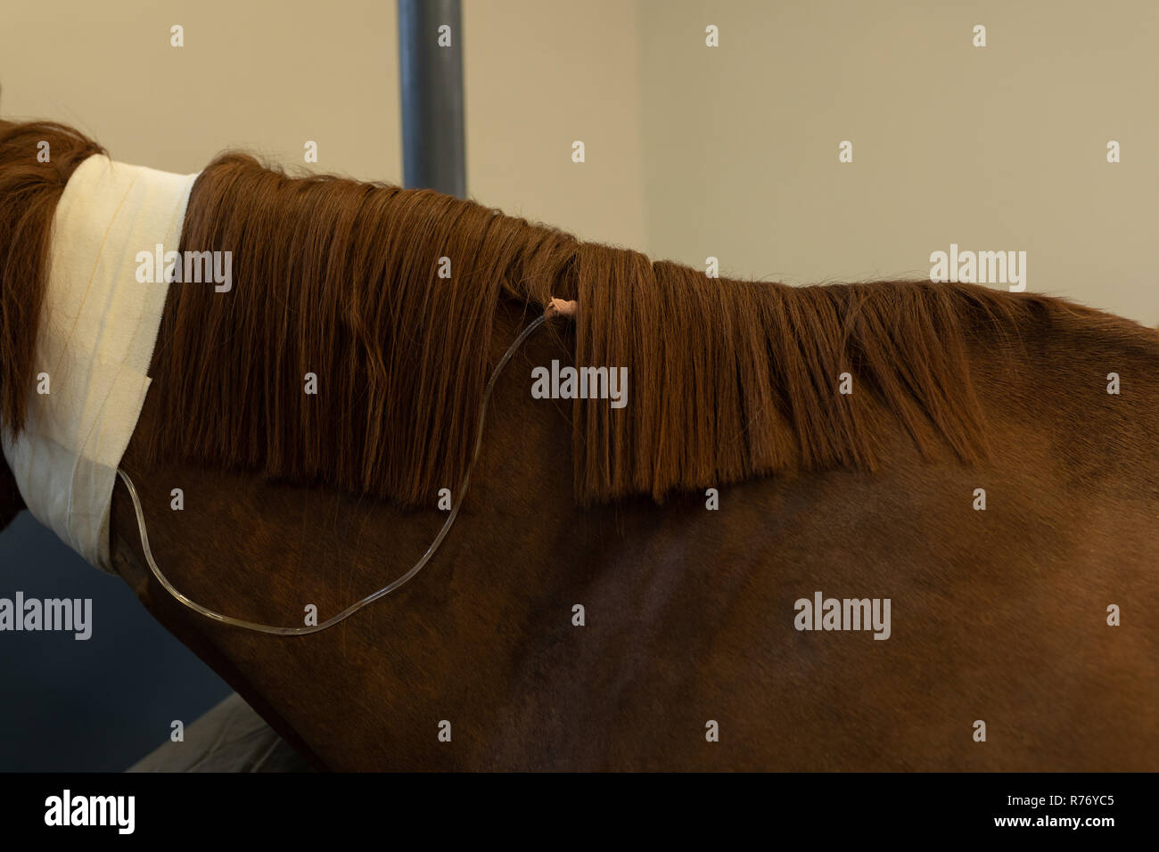 Intravenous therapy hi-res stock photography and images - Alamy