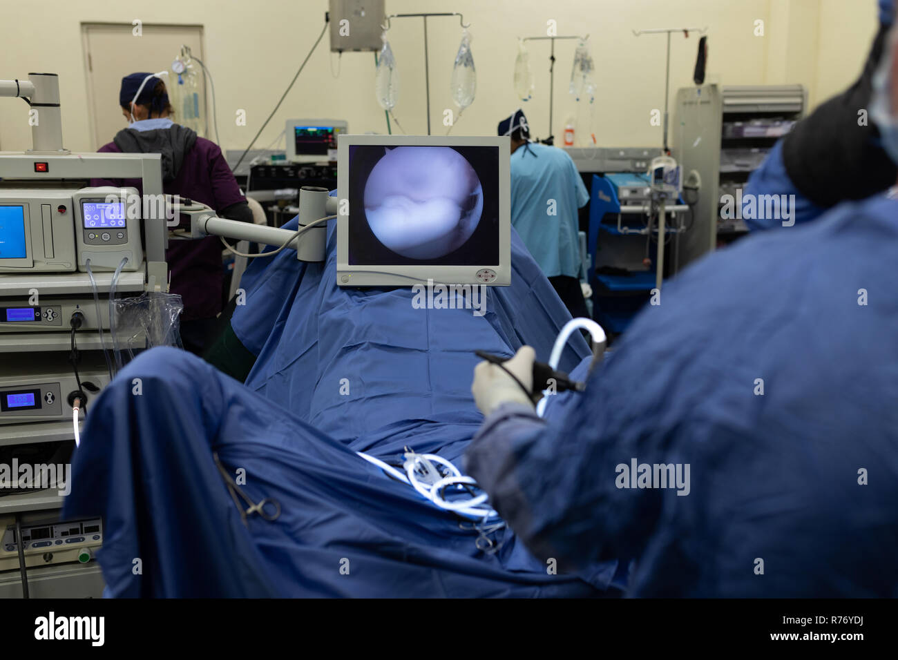 Surgeons operating a horse in operation theatre Stock Photo - Alamy