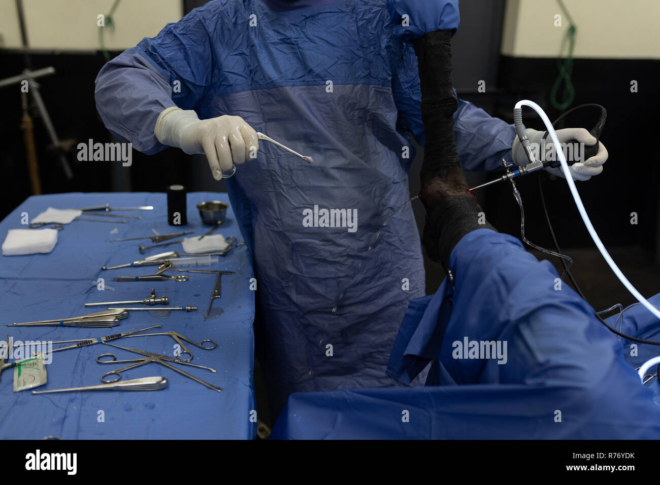 Surgeon operating a horse in operation theatre Stock Photo - Alamy