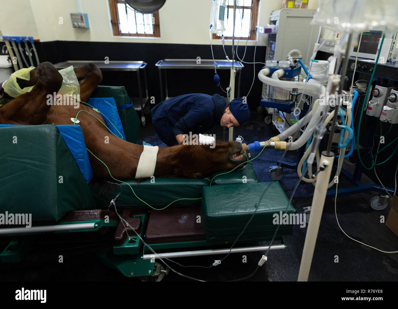 Operating theatre nurse hi-res stock photography and images - Alamy