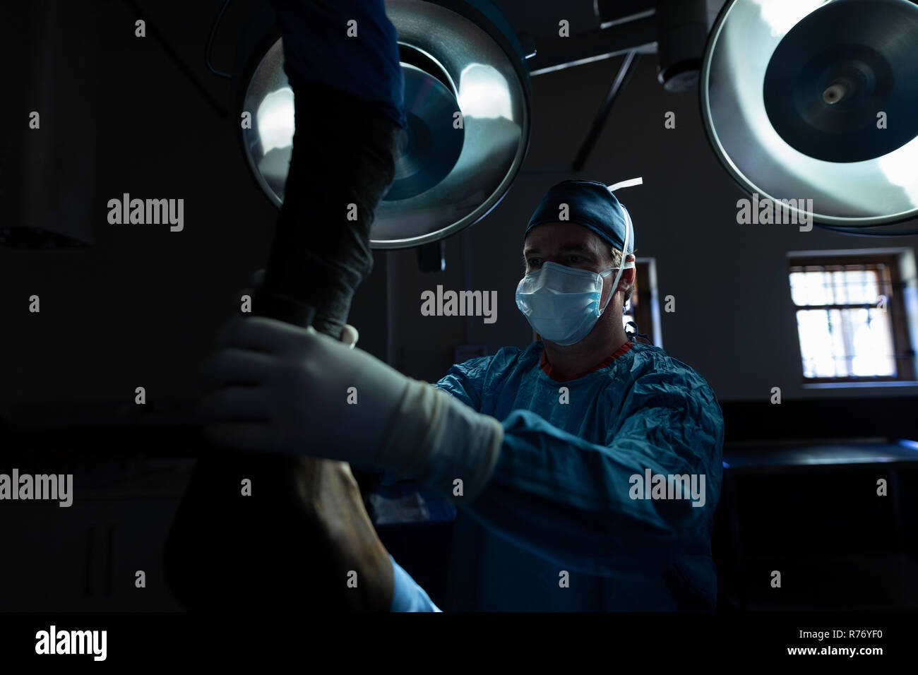 Surgeon operating a horse in operation theatre Stock Photo - Alamy