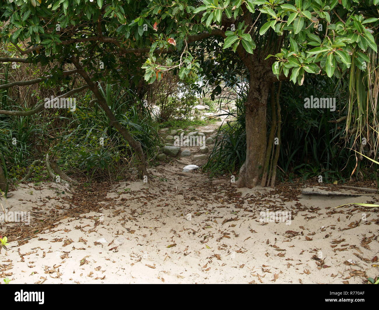 Beach and Forest Walk, Hong Kong Stock Photo - Alamy