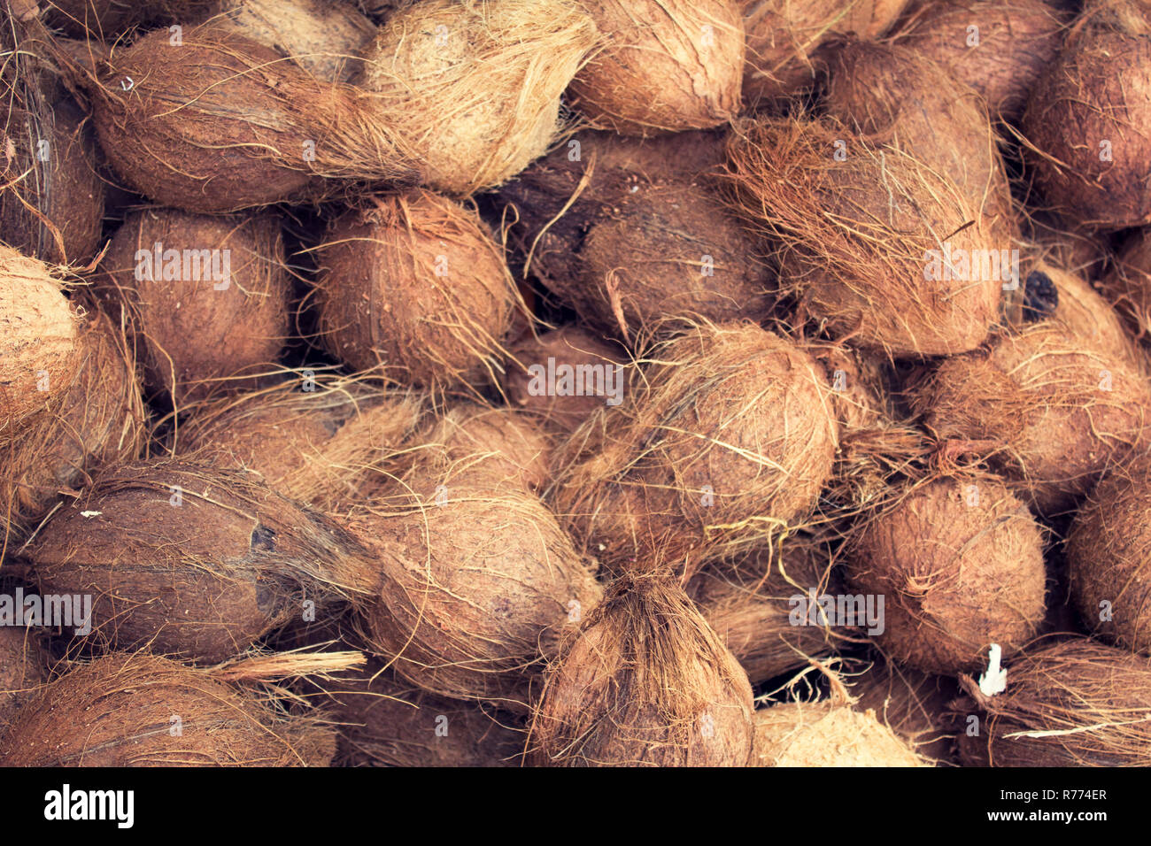 coconut pattern harvest. group of coconuts in market. coconut for food ...