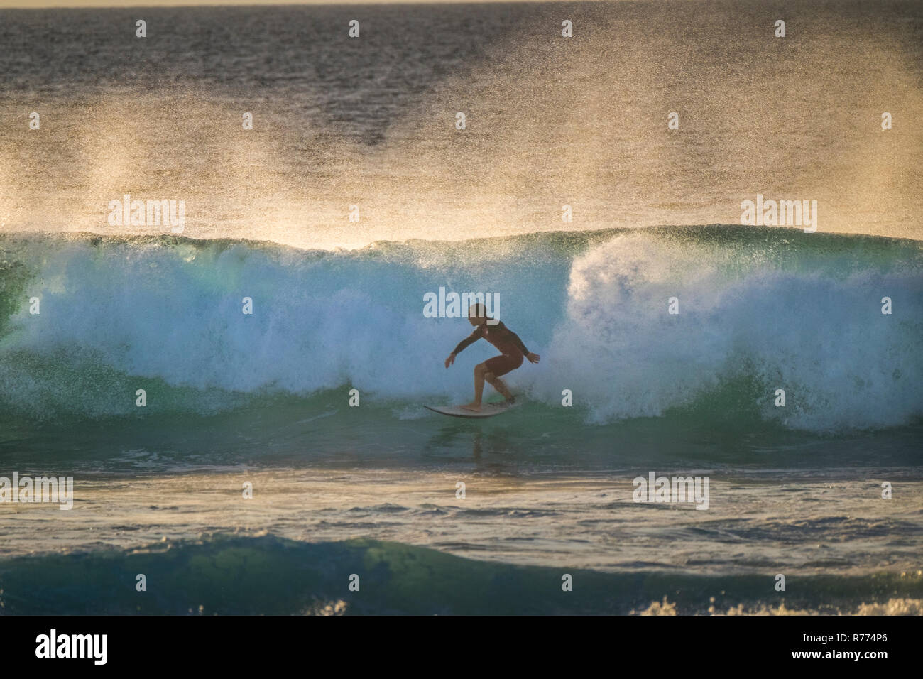 Lonely cute surfer on the wave with ship and island on the horizon ...