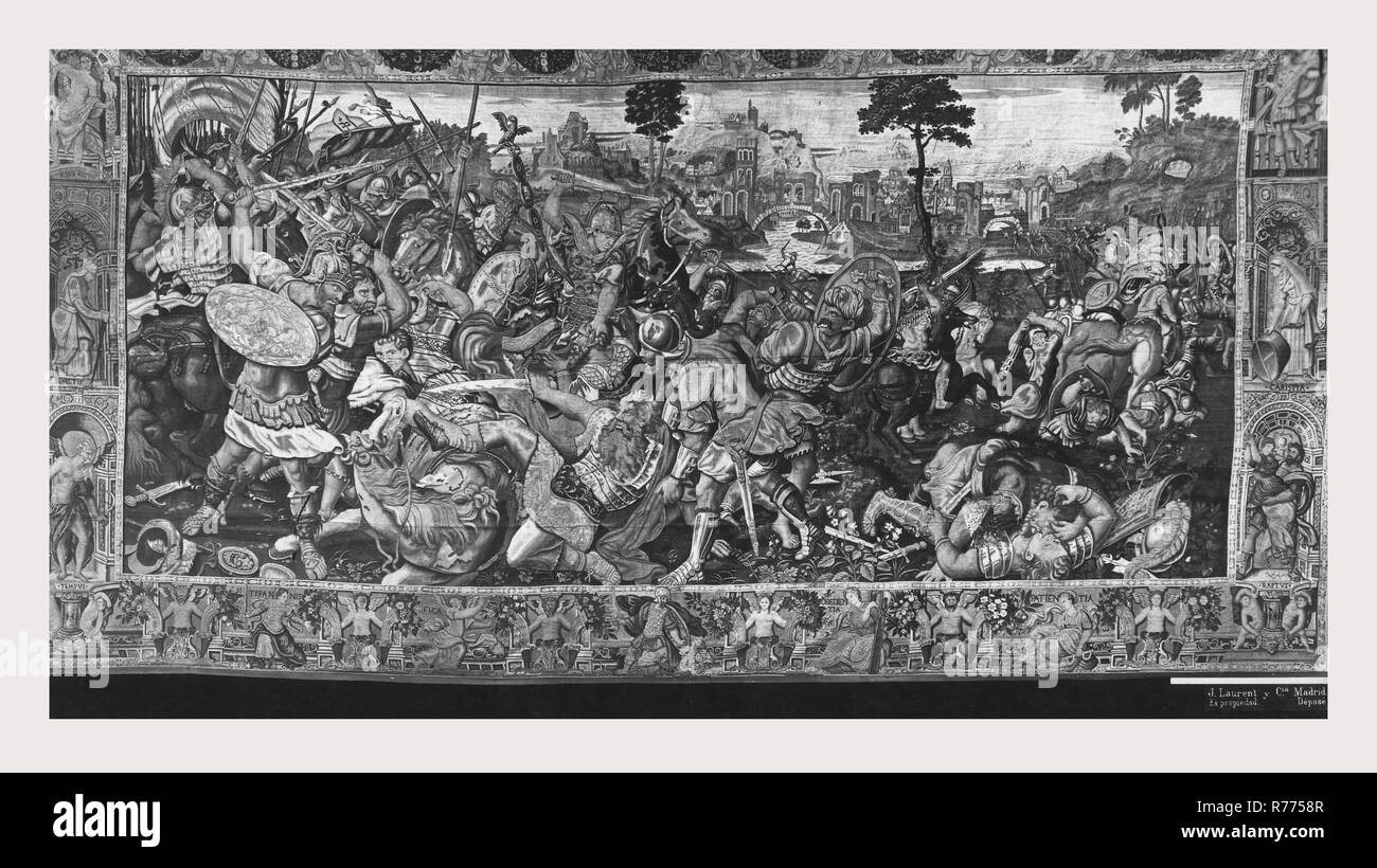 Ticinus High Resolution Stock Photography and Images - Alamy