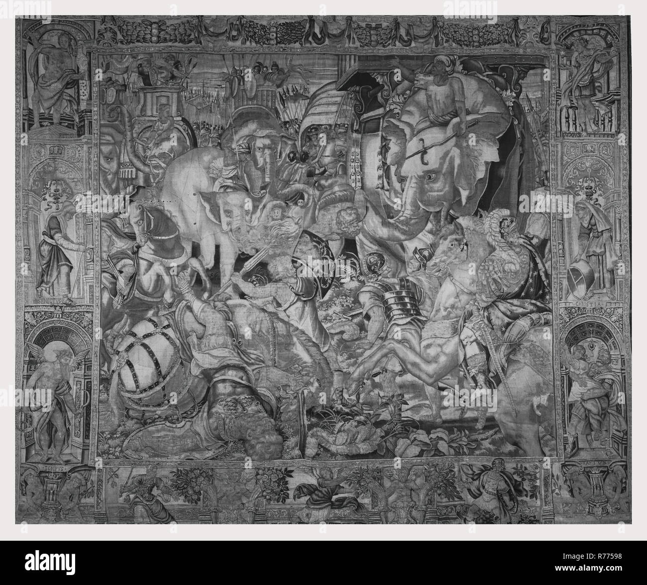 Zama Zama High Resolution Stock Photography and Images - Alamy