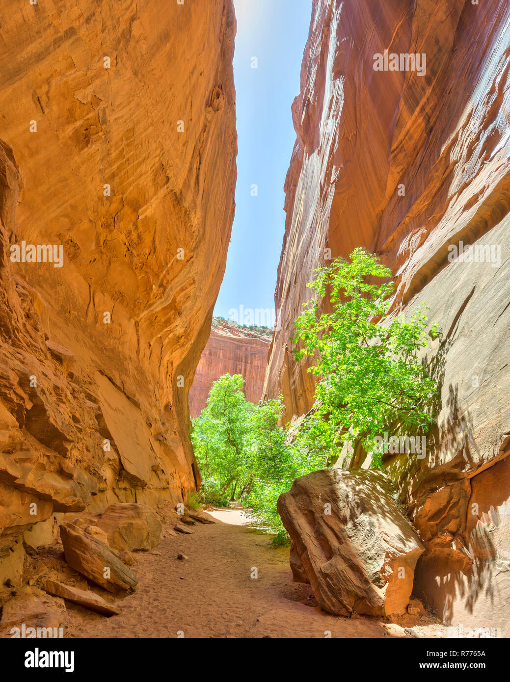 Small gorge, Grand Staircase-Escalante National Monument, Burr Trail ...