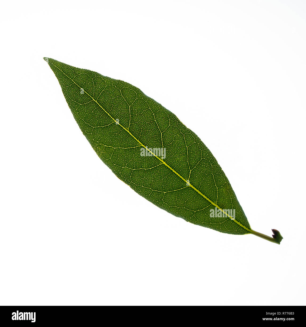 Bay project Cut Out Stock Images & Pictures - Alamy