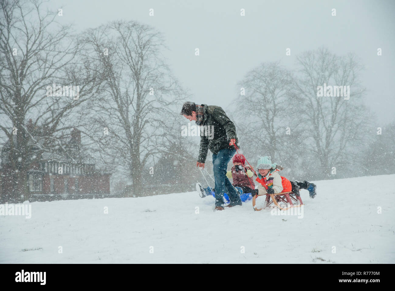 Family Sledding in the Snow Stock Photo - Alamy