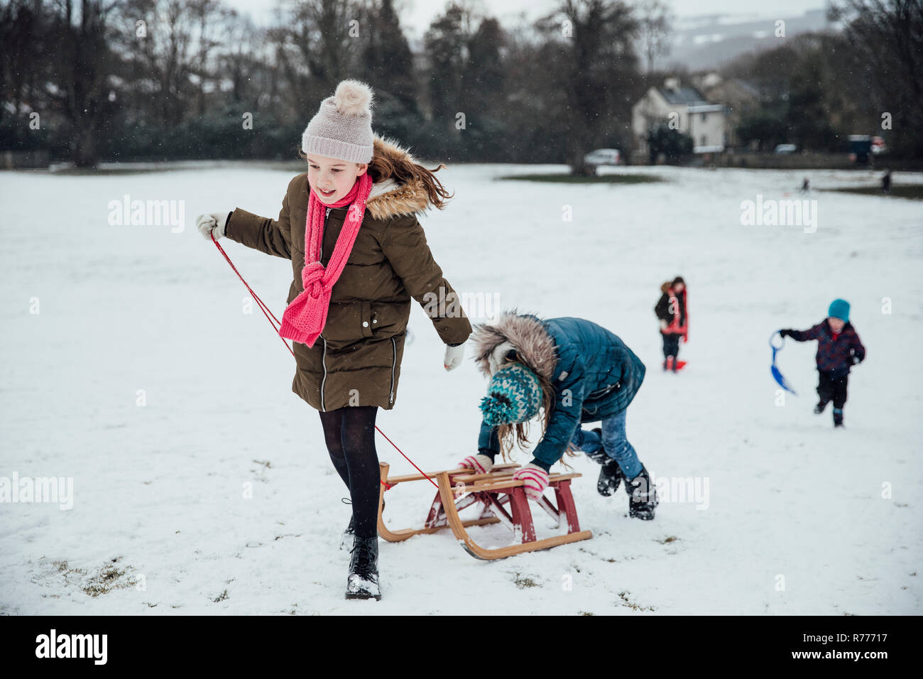Going for a Sled Race Stock Photo - Alamy