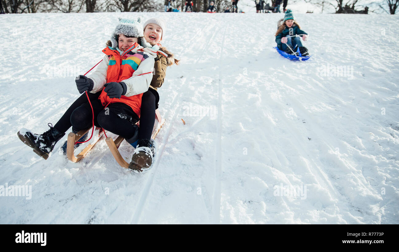 Sleigh Racing in the Snow Stock Photo - Alamy