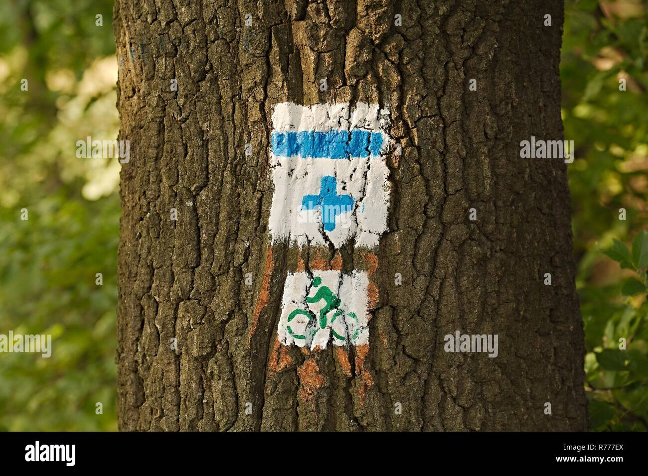 Hiking trail signs Stock Photo - Alamy