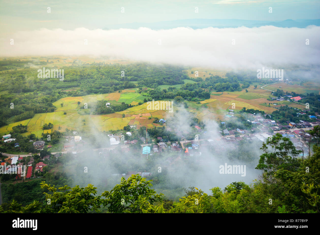 Top view village landscape mist / Beautiful morning with fog over misty ...