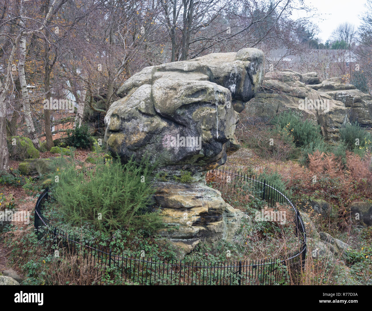 Toad rock hi-res stock photography and images - Alamy