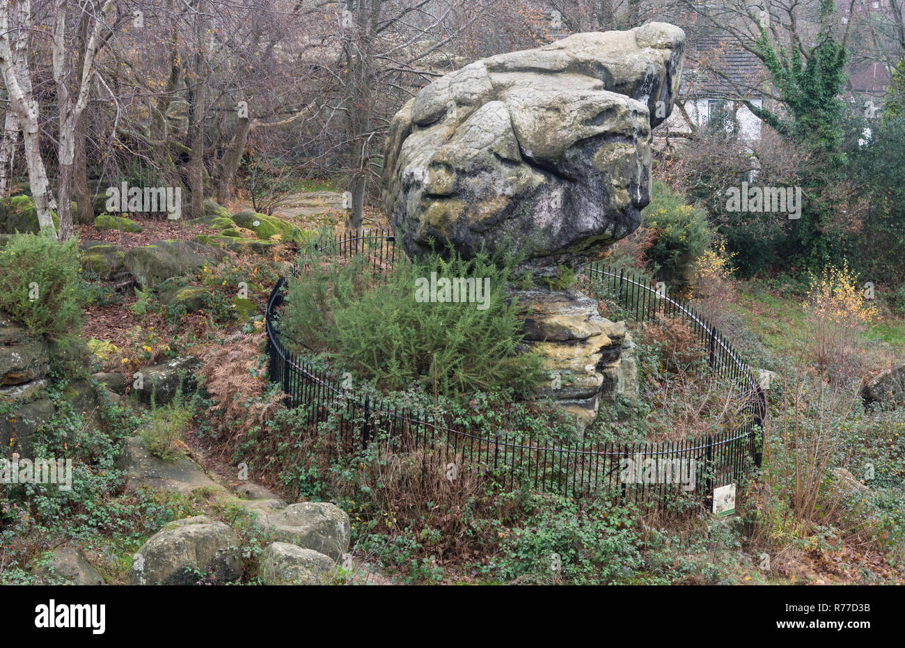 Toad rock hi-res stock photography and images - Alamy