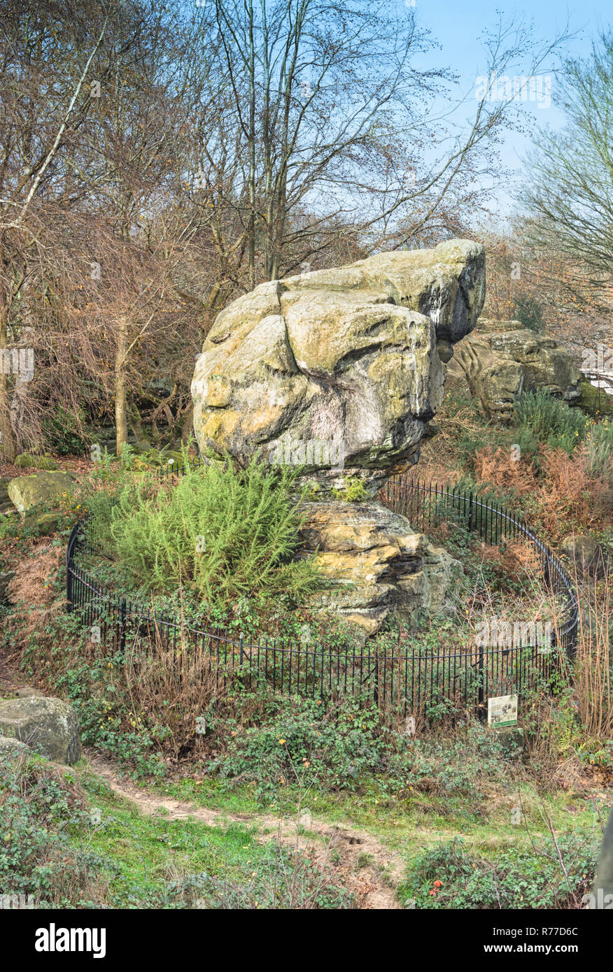 Toad rock hi-res stock photography and images - Alamy