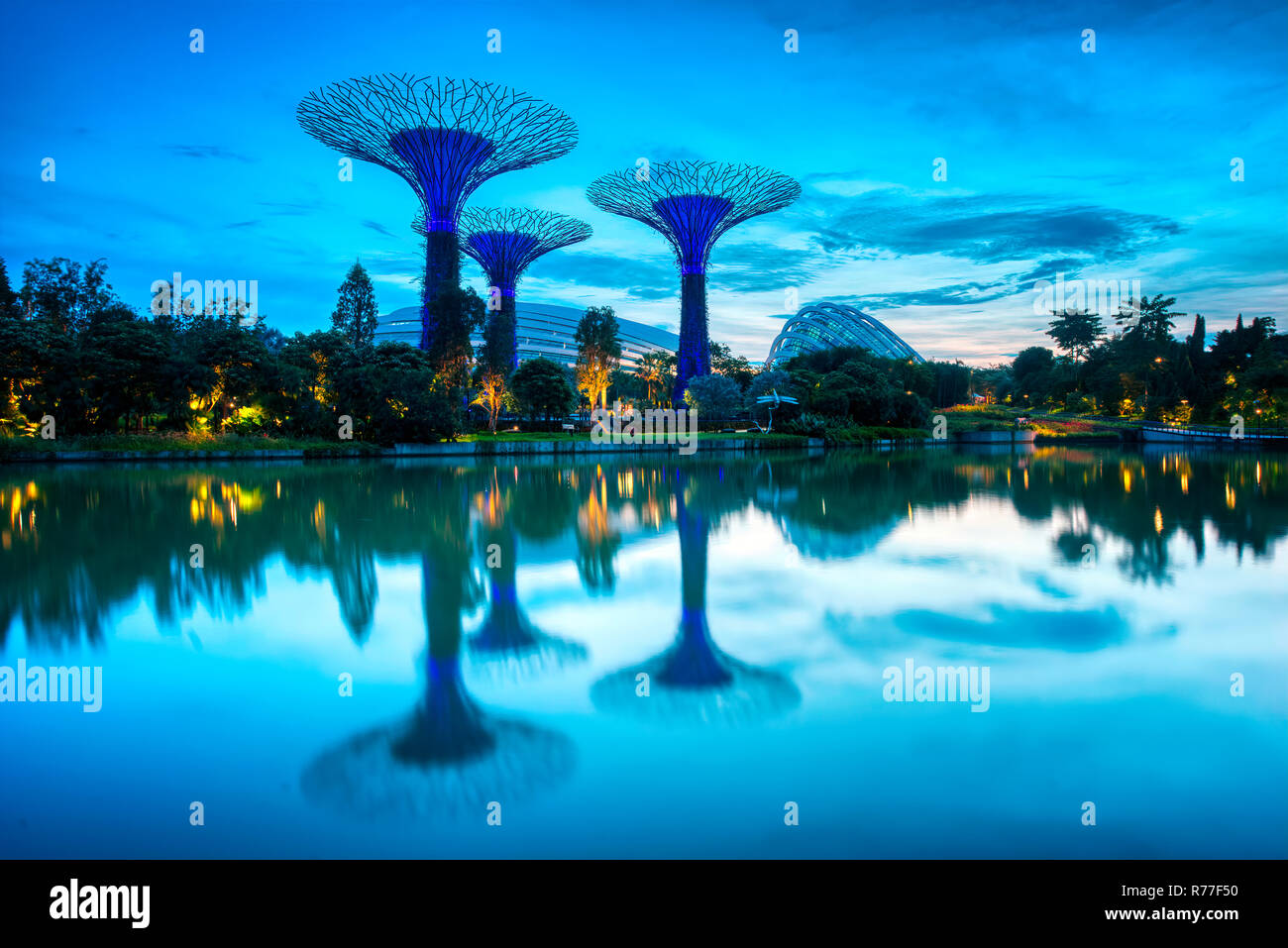 Singapore 8th December 2018, Gardens by the Bay super trees during ...