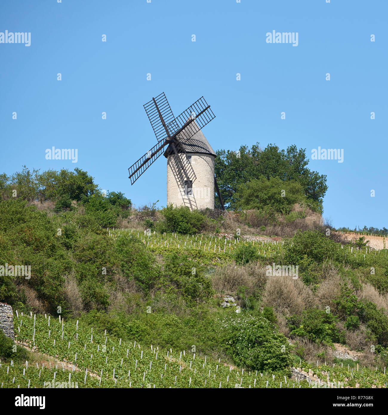 Drc wine hi-res stock photography and images - Alamy