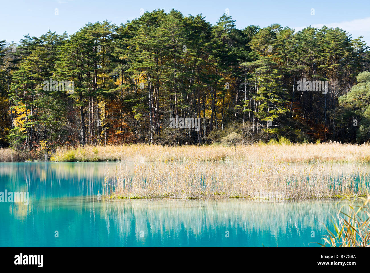 Goshiki Numa High Resolution Stock Photography and Images - Alamy