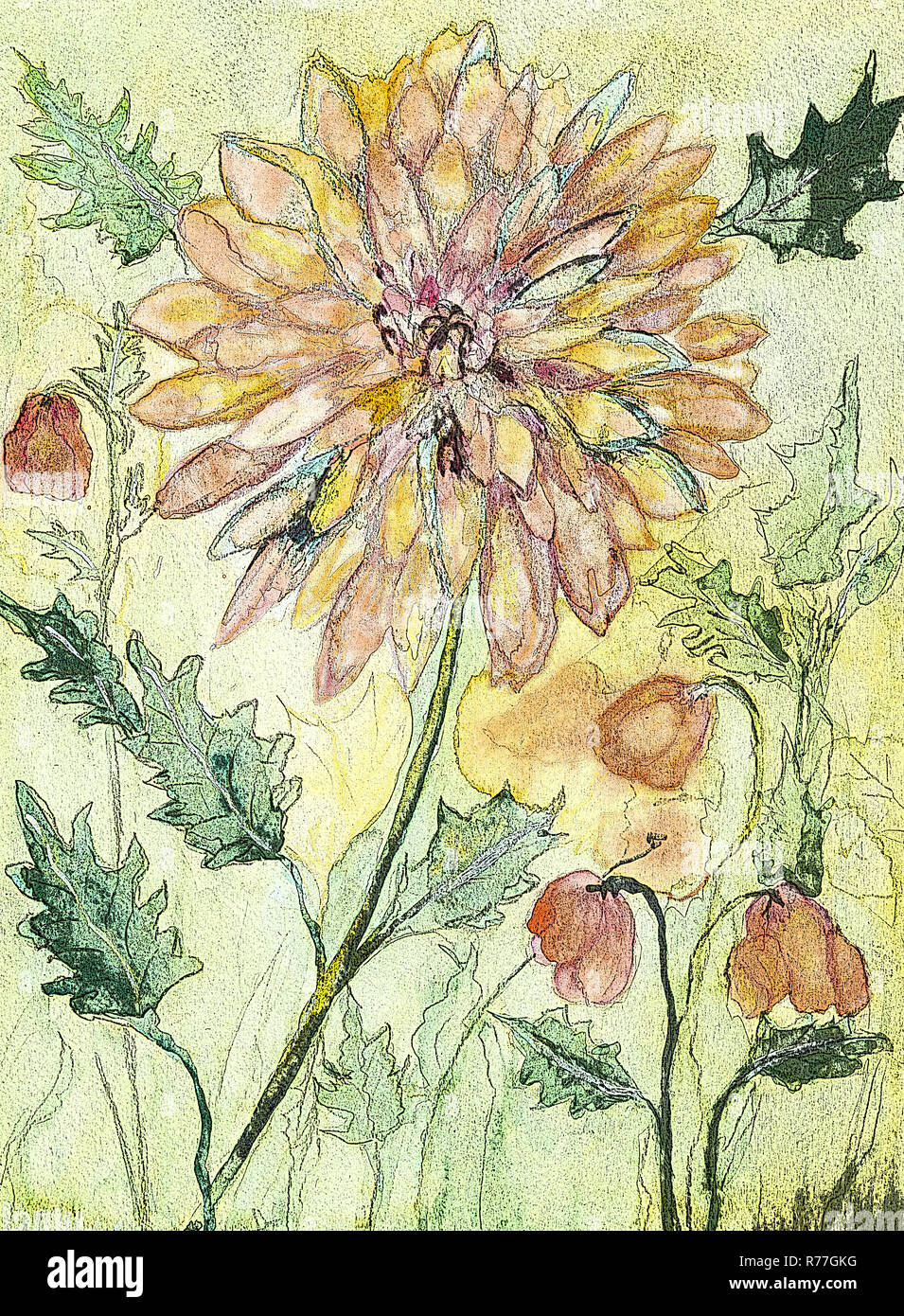 Tinted drawing of a marigold flower. The dabbing technique near the ...