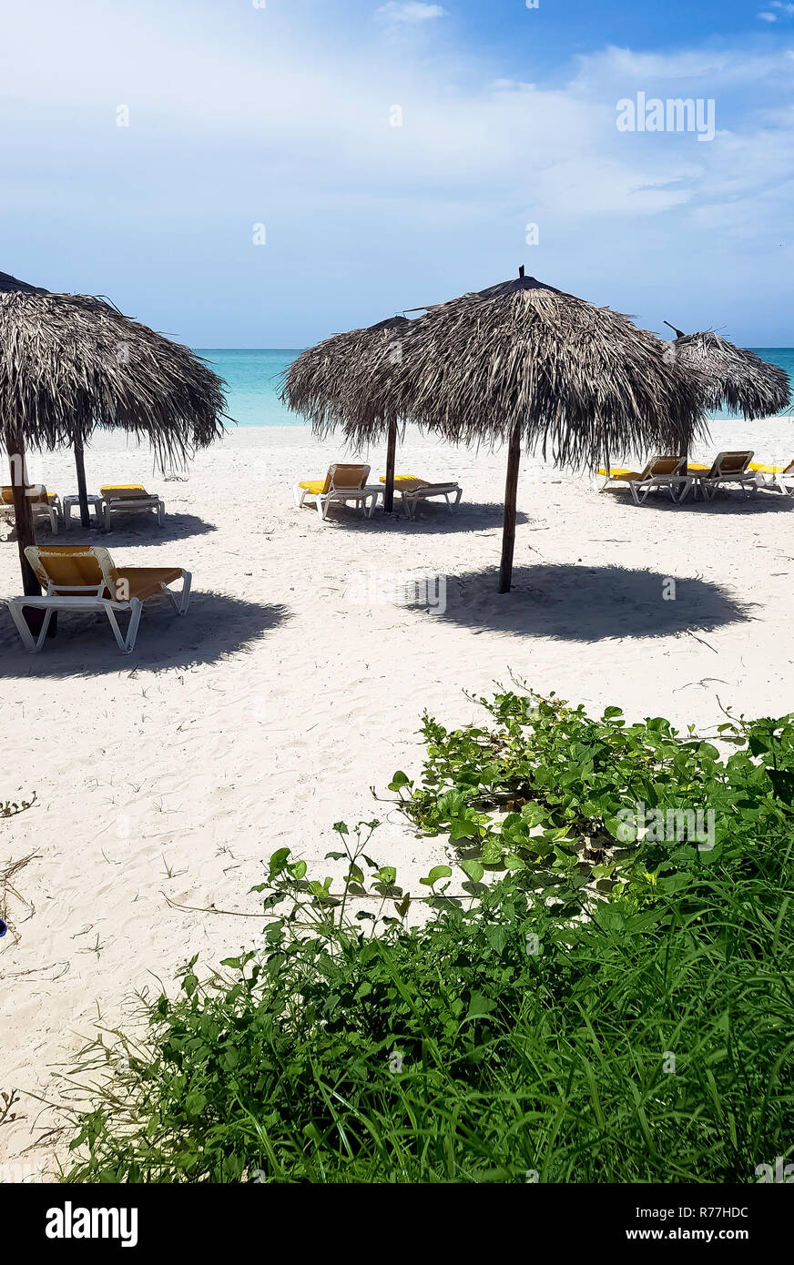 Cuban beach, umbrellas and sunbeds with Atlantic Ocean in background ...