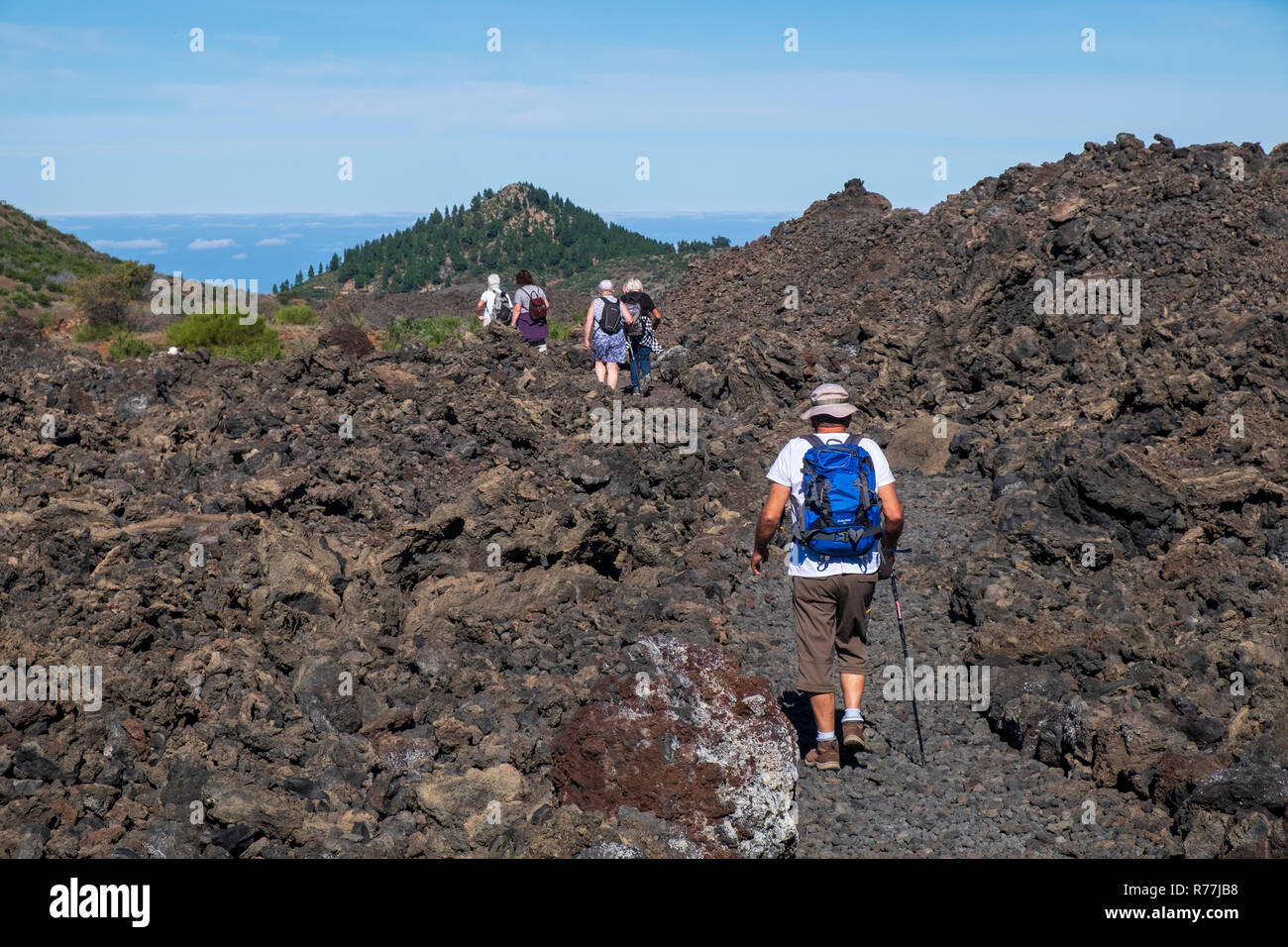 Walking group on a path through the Chinyero lava field, scene of the ...