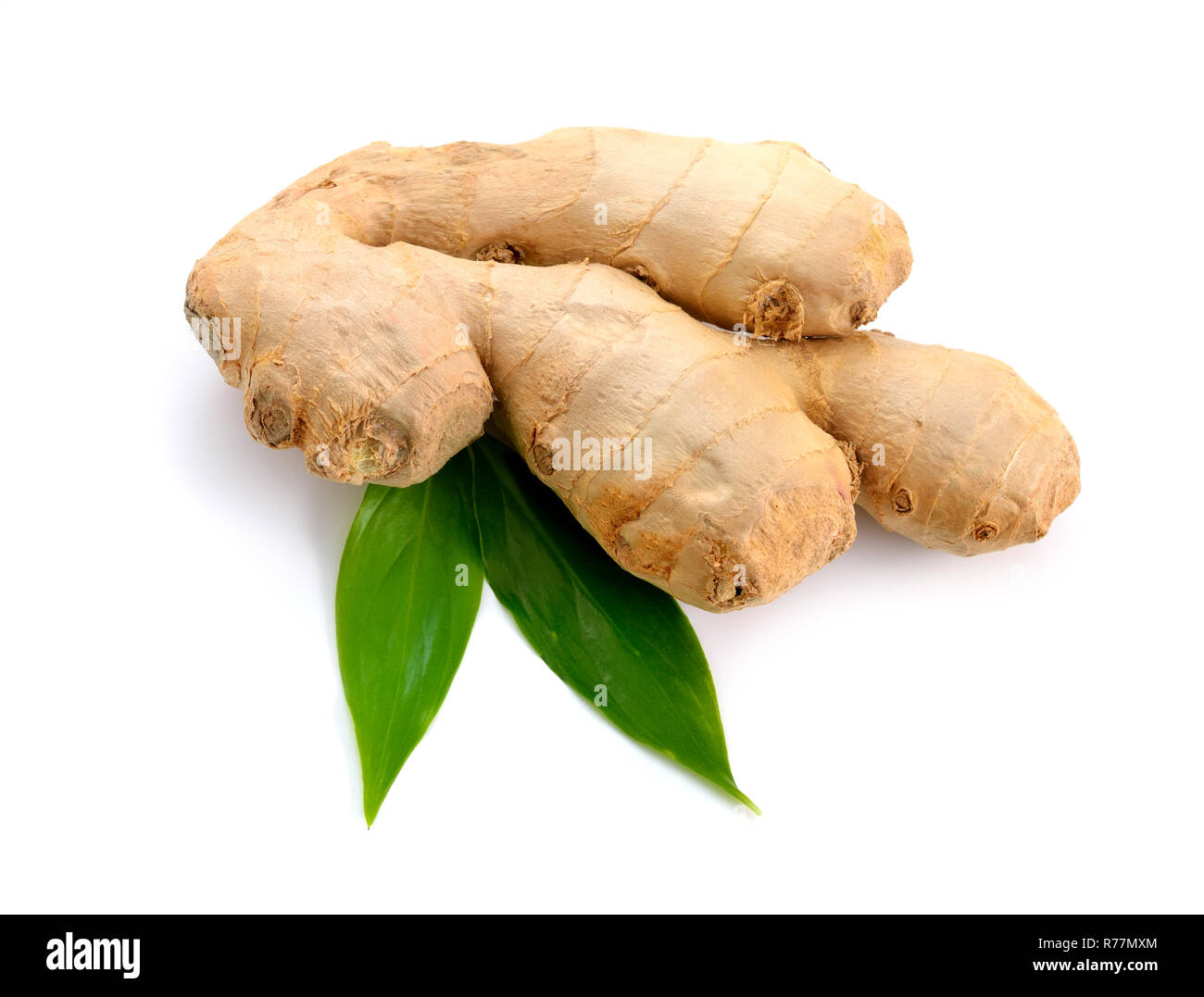 Ginger plants Cut Out Stock Images & Pictures - Alamy