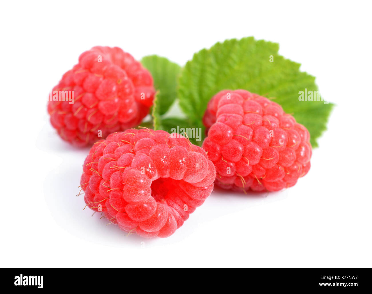 Raspberry isolated on white background Stock Photo - Alamy