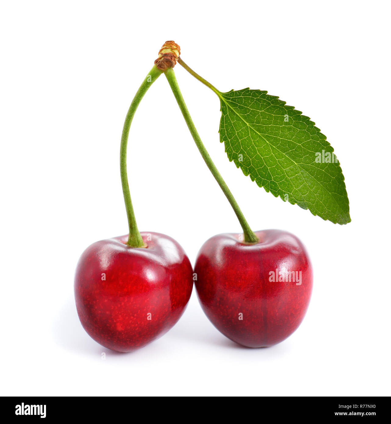 Cherry isolated on hite background Stock Photo - Alamy