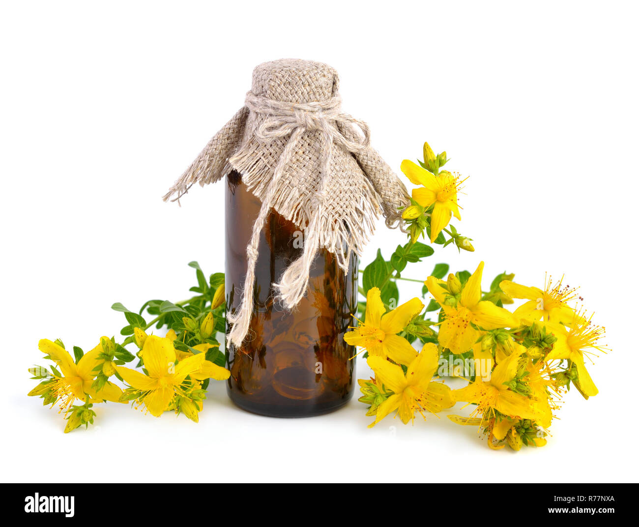 Hypericum with pharmaceutical bottle isolated Stock Photo - Alamy